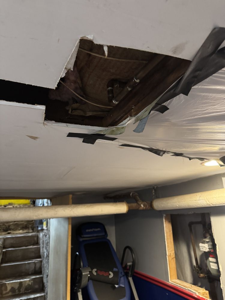 HECTOR AND SON - Updated June 2025 - Request Consultation - 17 Photos ...