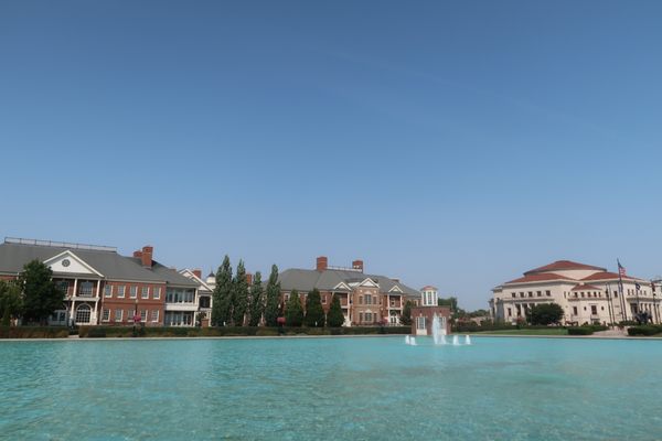 PEDCOR MANAGEMENT - Updated August 2025 - 13 Photos - 770 3rd Ave SW ...