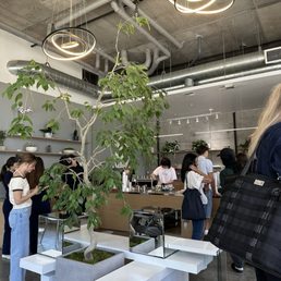 PROJECT MATCHA - Updated October 2025 - 207 Photos & 110 Reviews - 555 ...