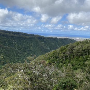 AIEA LOOP TRAIL - 1319 Photos & 302 Reviews - 99-1849 Aiea Heights Dr ...
