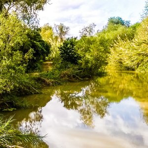 PAREDES RECEPTION - 3900 Paredes Line Rd, Brownsville, TX - Yelp