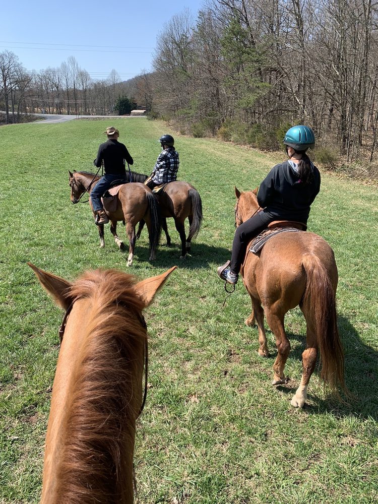 GOOD LUCK STABLES - Updated October 2024 - 10007 River Rd, Hedgesville ...