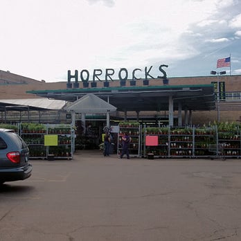Horrocks Flowers Battle Creek Mi New Locations Bello | Best Flower Site