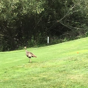 LAGUNA SECA GOLF RANCH - Updated July 2024 - 75 Photos & 58 Reviews ...