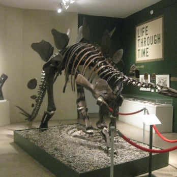 EVERHART MUSEUM OF NATURAL HISTORY SCIENCE AND ART - Updated July 2025 ...