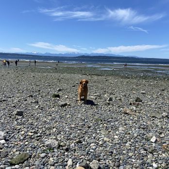OFF LEASH AREA EDMONDS - Updated December 2025 - 160 Photos & 93 ...