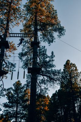 Flagstaff Extreme Adventure Course - 249 Photos & 271 Reviews ...
