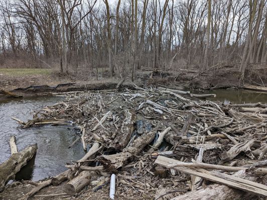 ROUGE RIVER GREENWAY TRAIL - Updated July 2025 - 31 Photos & 11 Reviews ...