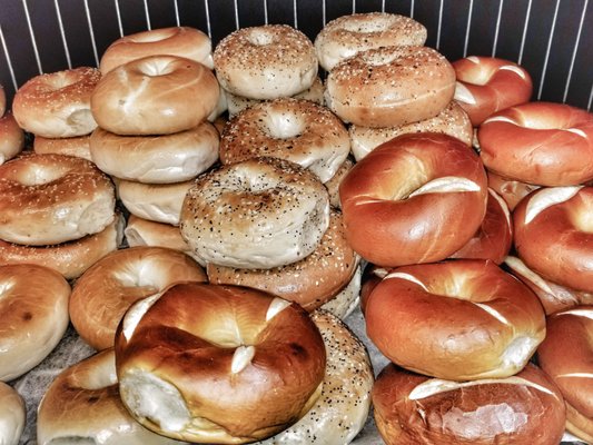 TRUSCOTT ITALIAN BAKERY & DELICATESSEN - 51 Photos & 40 Reviews - 2425 ...