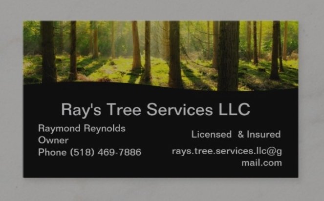 RAY’S TREE SERVICES - Updated October 2025 - Request a Quote - Hudson Falls, New York - Tree ...