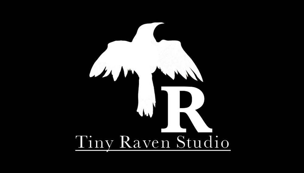 TINY RAVEN STUDIO - Updated November 2024 - Newton, Massachusetts ...