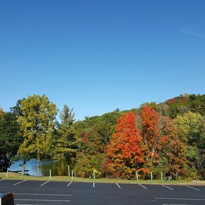 MAPLE ON THE LAKE - Updated March 2025 - 99 Photos & 84 Reviews - 141 ...