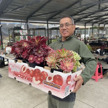 SHUNA’S SUCCULENT HOUSE - Updated December 2024 - 111 Photos & 26 ...