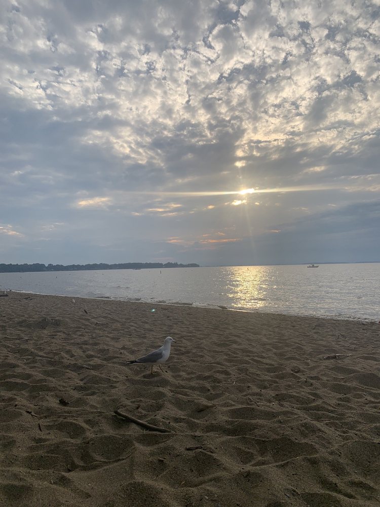 THAYER BEACH - Updated December 2025 - Colchester, Vermont - Beaches - Yelp