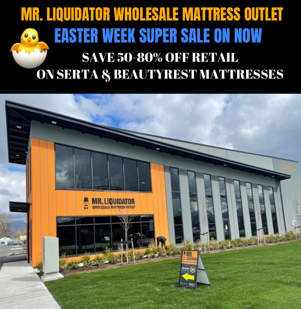 MR. LIQUIDATOR - Updated January 2026 - 26 Photos - 44703 Yale Road ...