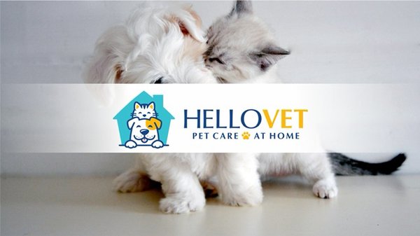 HELLOVET PET CARE AT HOME - Updated February 2026 - 12 Photos & 10 ...