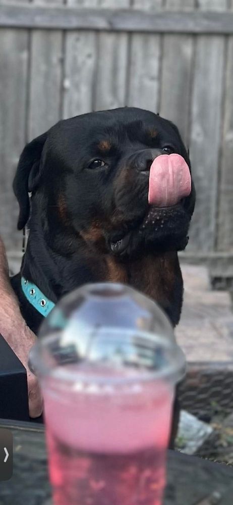 TACO BANDIDO - Updated August 2025 - 11 Photos & 32 Reviews - 211 N ...