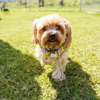 PATSY T. MINK CENTRAL OAHU REGIONAL PARK - Updated December 2025 - 708 ...