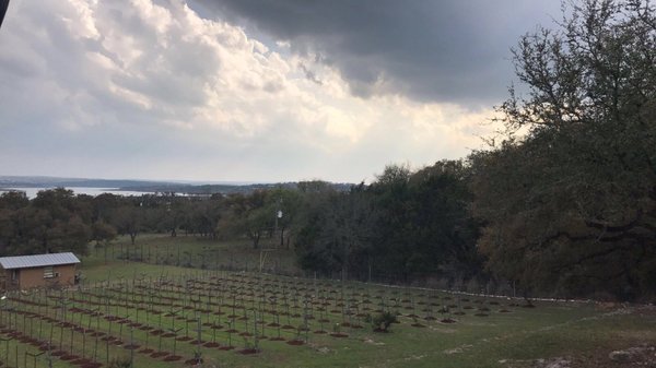 Fischer, TX Map & Directions - MapQuest