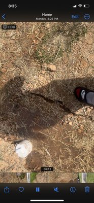 NORTHPOINT ASSET MANAGEMENT - Updated December 2025 - 29 Photos & 52 ...