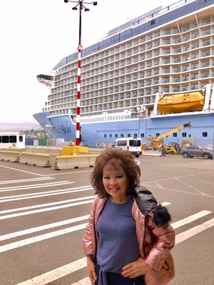 SMITH COVE CRUISE TERMINAL AT PIER 91 - 126 Photos & 38 Reviews - Tours ...