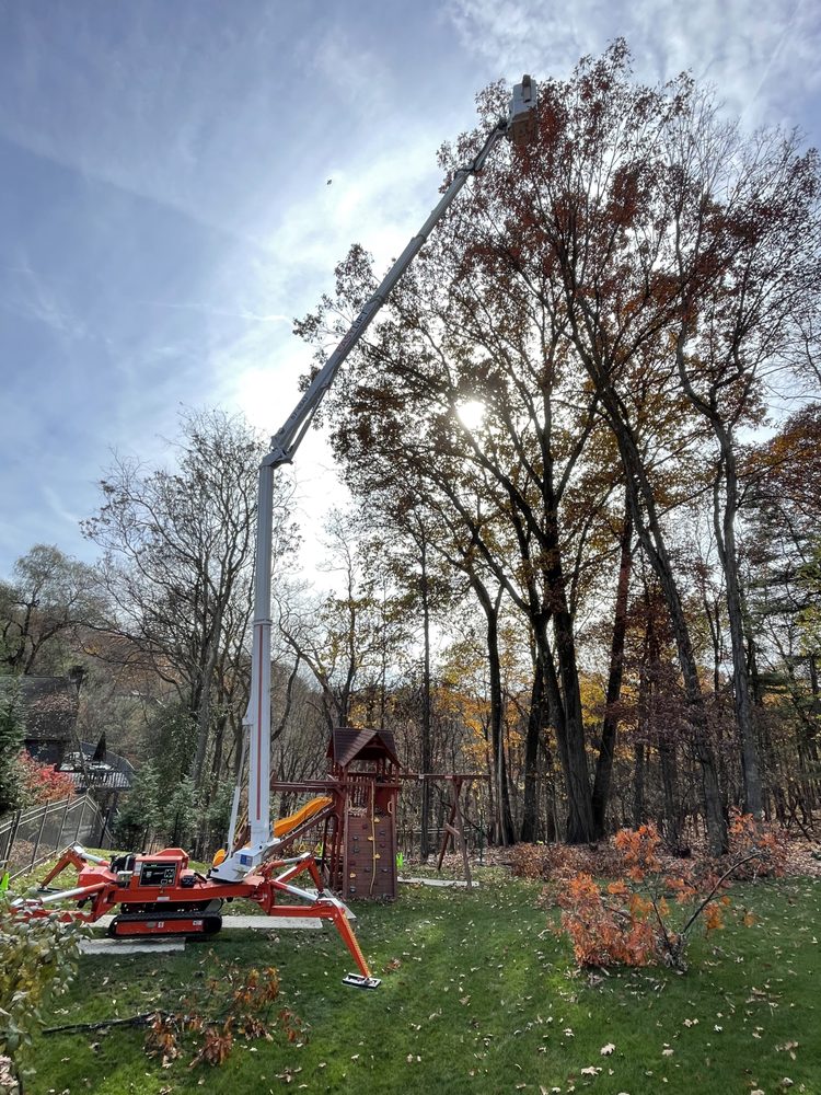 NORTHWOOD TREE CARE - Updated December 2025 - Request a Quote - 8696 W ...