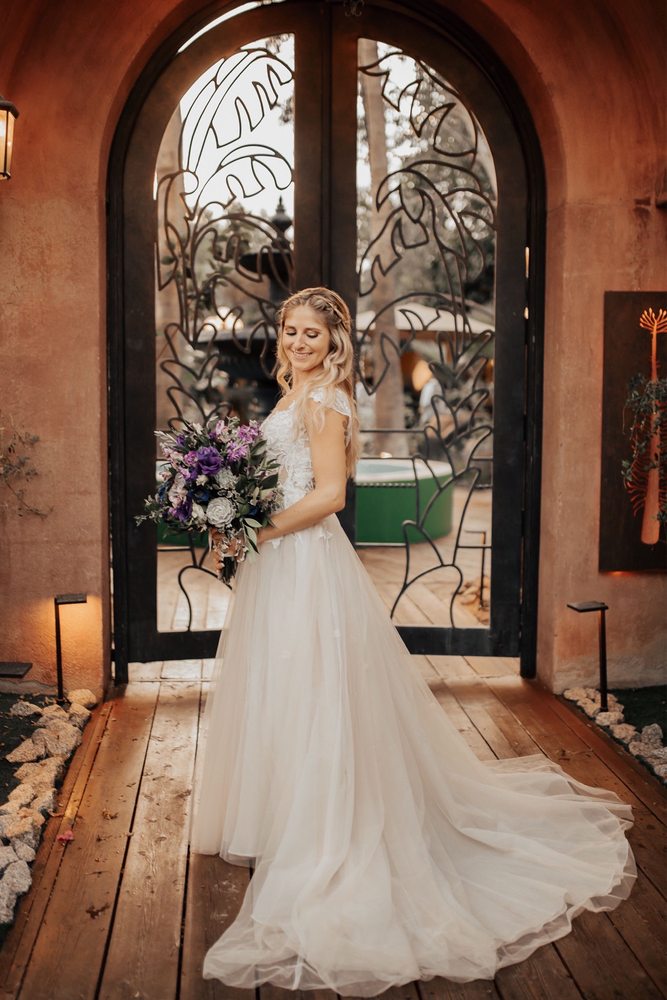 BOOJUM TREE HIDDEN GARDENS near you at 16026 N 36th St, Phoenix ...