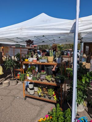 JUNGLE BOX - Updated December 2025 - 140 Photos & 42 Reviews - 1735 E ...