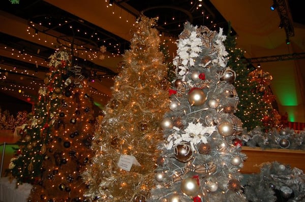 FESTIVAL OF TREES - Updated December 2025 - 69 Photos & 11 Reviews ...
