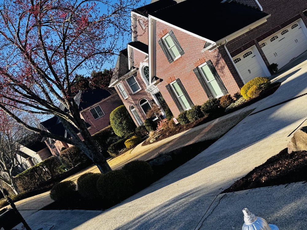 BARAJAS TREE SERVICES & LANDSCAPING - Updated October 2025 - 60 Photos ...