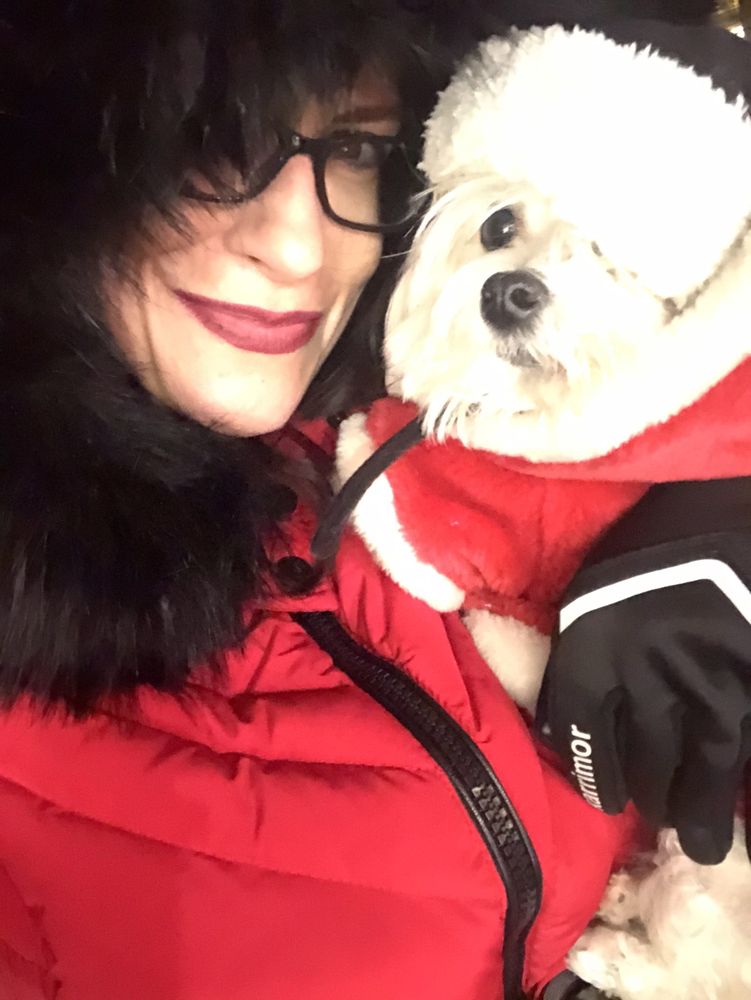 FIRST NIGHT BOSTON - 88 Black Falcon Ave, Boston, MA - Yelp