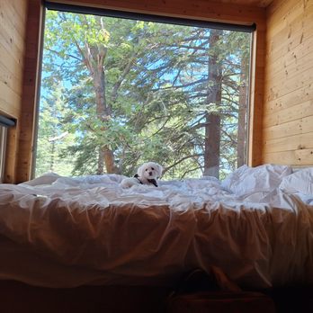 POSTCARD CABINS BIG BEAR - Updated January 2026 - 314 Photos & 71 ...