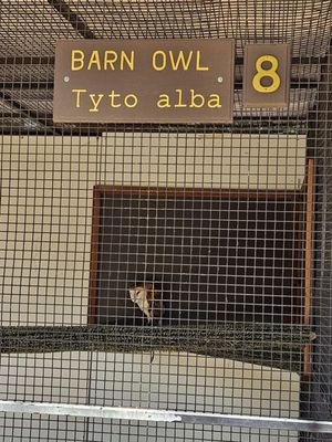 SAN DIMAS CANYON NATURE CENTER - Updated October 2025 - 64 Photos & 20 ...