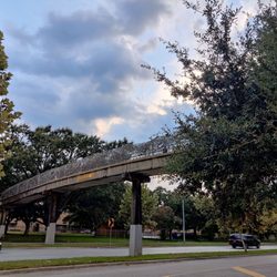 THE LOVE LOCK BRIDGE - 500 Allen Pkwy, Houston, Texas - Landmarks ...