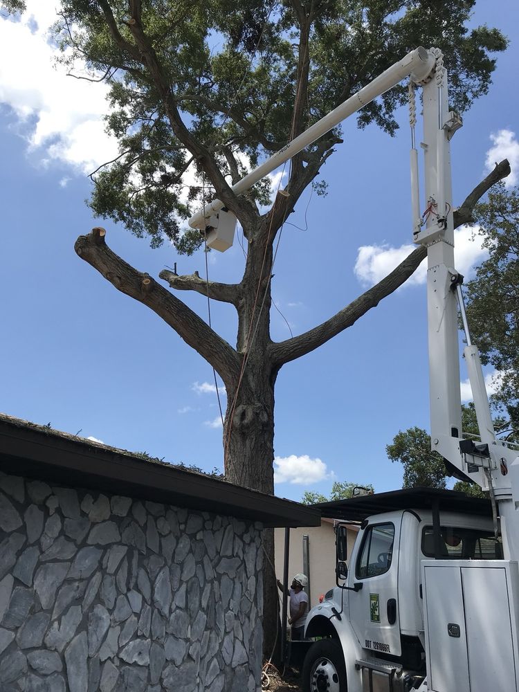 DANNY’S TREE SERVICE - Updated December 2025 - 11 Reviews - 3545 ...