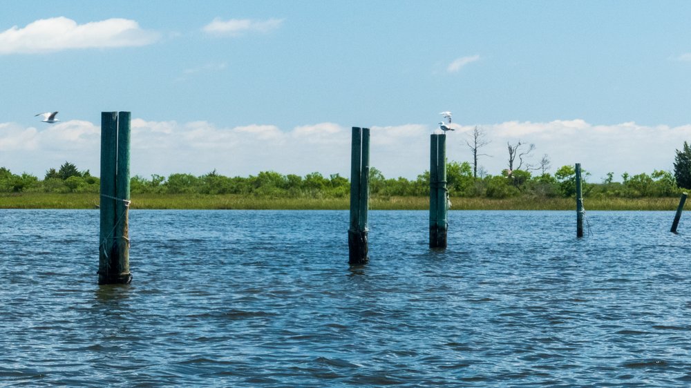 PORT MESSICK MARINA - Updated December 2025 - 22 Photos - 413 Messick ...