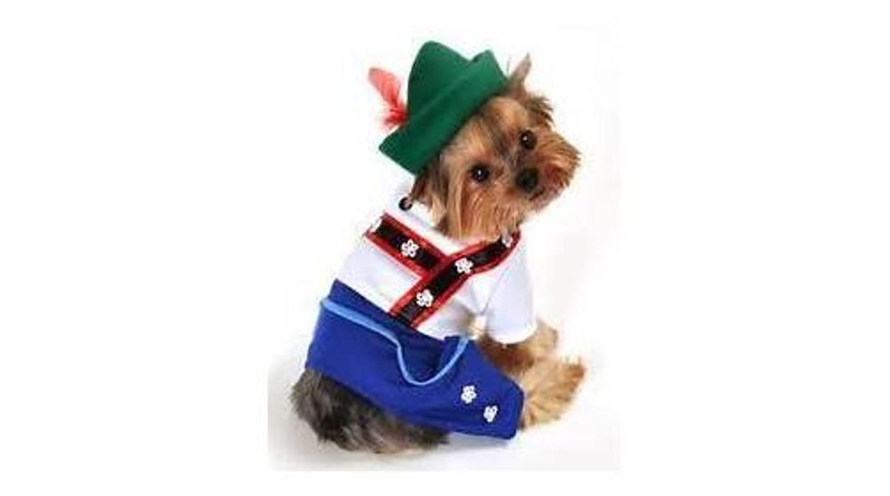 ST PAWS THRIFT STORE - Updated October 2025 - 15 Photos & 11 Reviews ...