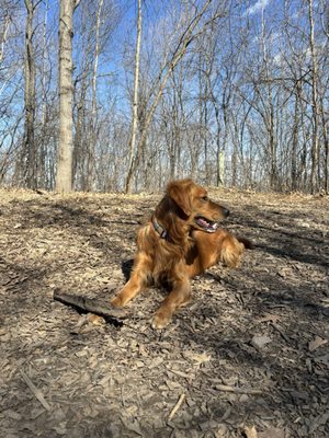 DOG PARK AT FISH LAKE REGIONAL PARK - Updated October 2025 - 14900 Bass ...