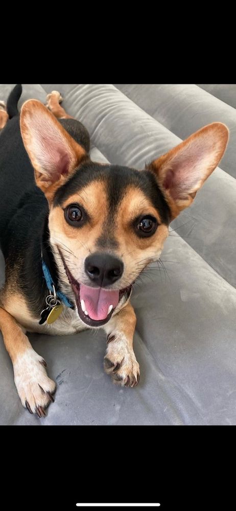 ARTRAGEOUS INK - Updated August 2025 - 34 Photos & 20 Reviews - 1035 ...