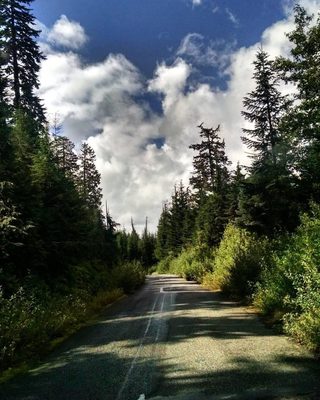 SILVANA MEATS - Updated October 2025 - 31 Photos & 114 Reviews - 1229 ...