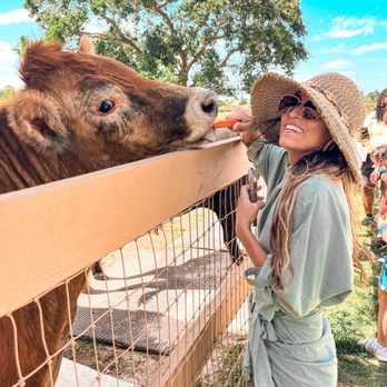 PINTO’S FARM - Updated November 2024 - 474 Photos & 167 Reviews - 14890 ...