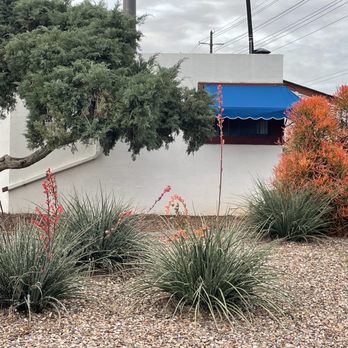 SALT CELLAR - 581 Photos & 888 Reviews - 550 N Hayden Rd, Scottsdale ...