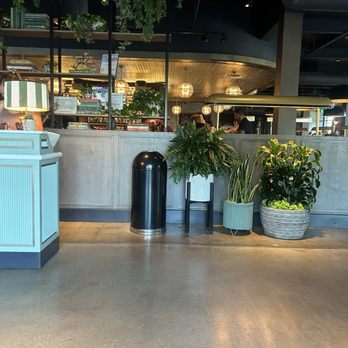 CULINARY DROPOUT - Updated October 2025 - 703 Photos & 289 Reviews ...