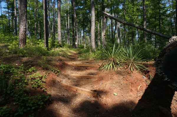 PIEDMONT NATIONAL WILDLIFE REFUGE - 41 Photos - 718 Juliette Rd, Round ...