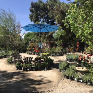 MONTE VISTA NURSERY - Updated May 2024 - 15 Photos & 10 Reviews - 2654 ...