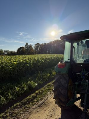 NICKAJACK FARMS - Updated August 2025 - 65 Photos & 24 Reviews - 2955 ...