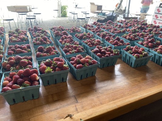 FULTON FARMS - Updated July 2024 - 21 Photos & 12 Reviews - 2393 S ...