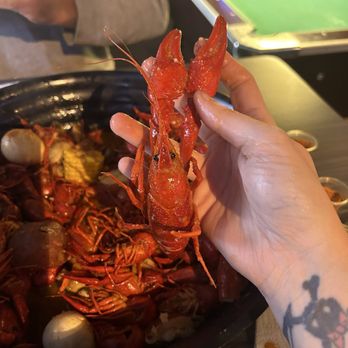 FLYING PUG - Updated January 2026 - 153 Photos & 182 Reviews - 592 ...