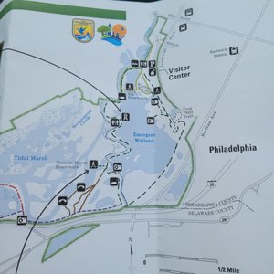 JOHN HEINZ NATIONAL WILDLIFE REFUGE AT TINICUM - 466 Photos & 96 ...