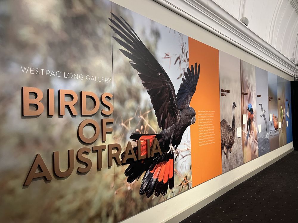 AUSTRALIAN MUSEUM - Updated July 2024 - 212 Photos & 47 Reviews - 1 ...